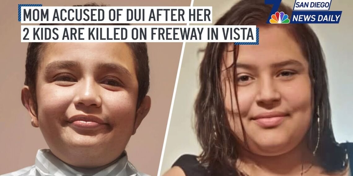 Mom charged with DUI after children killed running onto California ...